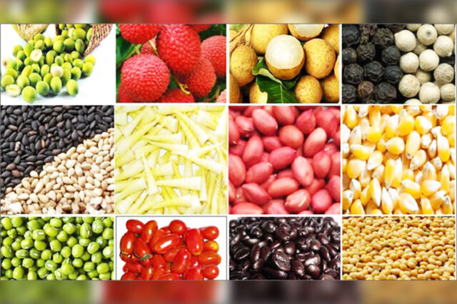 Maturing Ethiopia’s agriculture through quality | Capital Newspaper