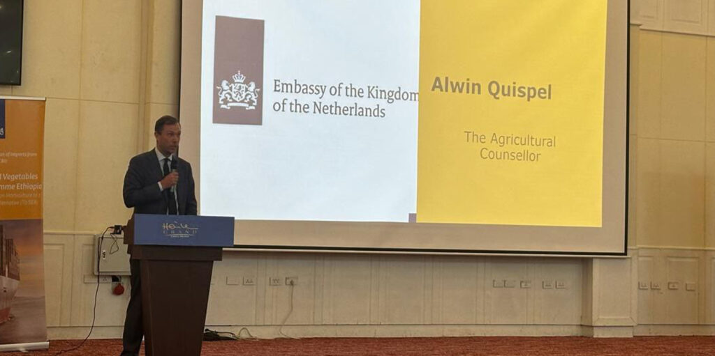 Horticulture sector transforms Avocado exports with strategic shift to ...