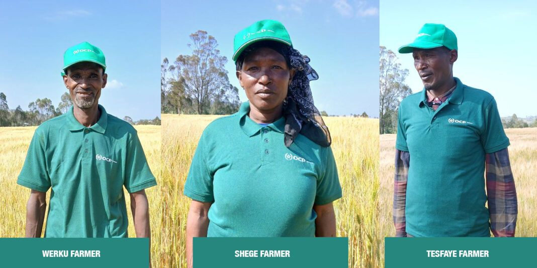 From Acid to Abundance: How OC‑MASSA is turning Ethiopia’s ‘Dead ...